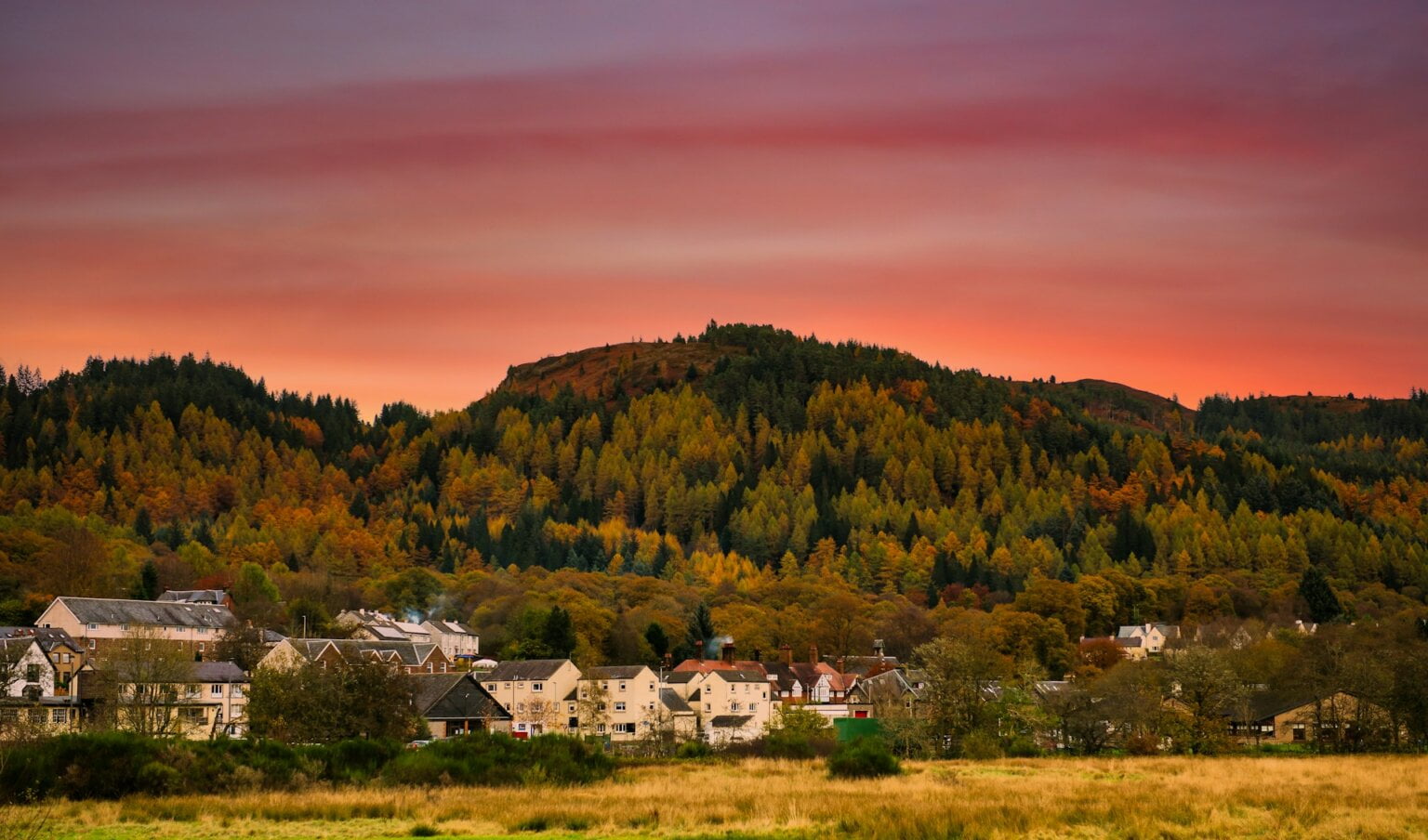 7 Best Restaurants With View in Aberfoyle Scotland 2026 - Navigating Nomad