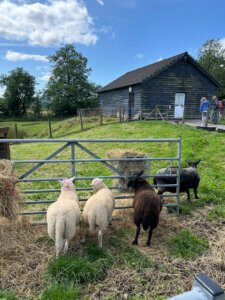 7 Best Restaurants With View in Aberfoyle Scotland 2026 - Navigating Nomad